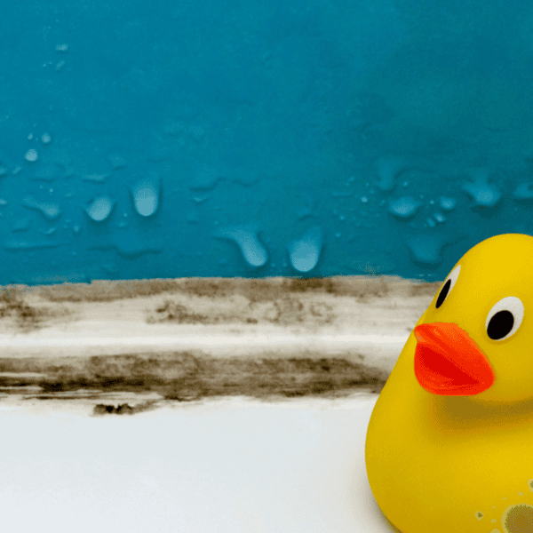 Mold Treatment and The Shoemaker Protocol