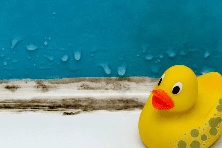 Mold Treatment and The Shoemaker Protocol